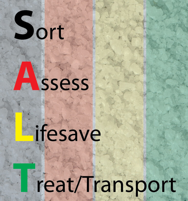 Triage Like a Pro with SALT | The Cool Cube Transport Cart | When ...